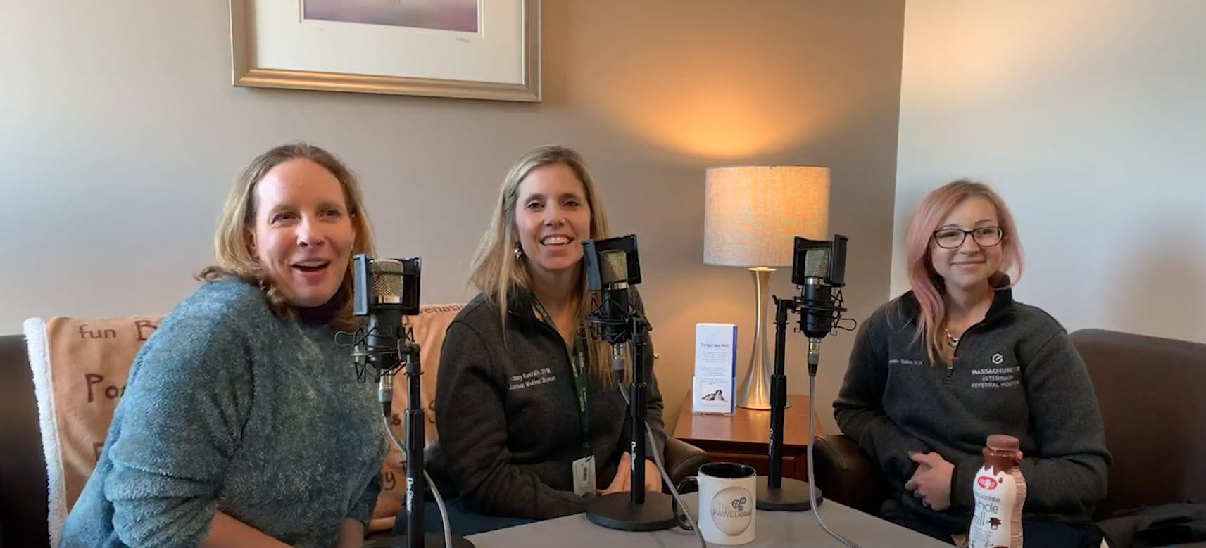 The PAWEDcast: Veterinary Social Workers - Pride Veterinary Medical ...