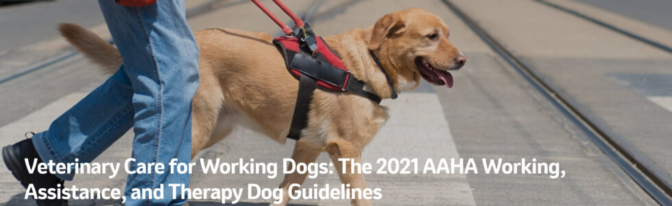 Veterinary Care for Working Dogs - Pride Veterinary Medical Community