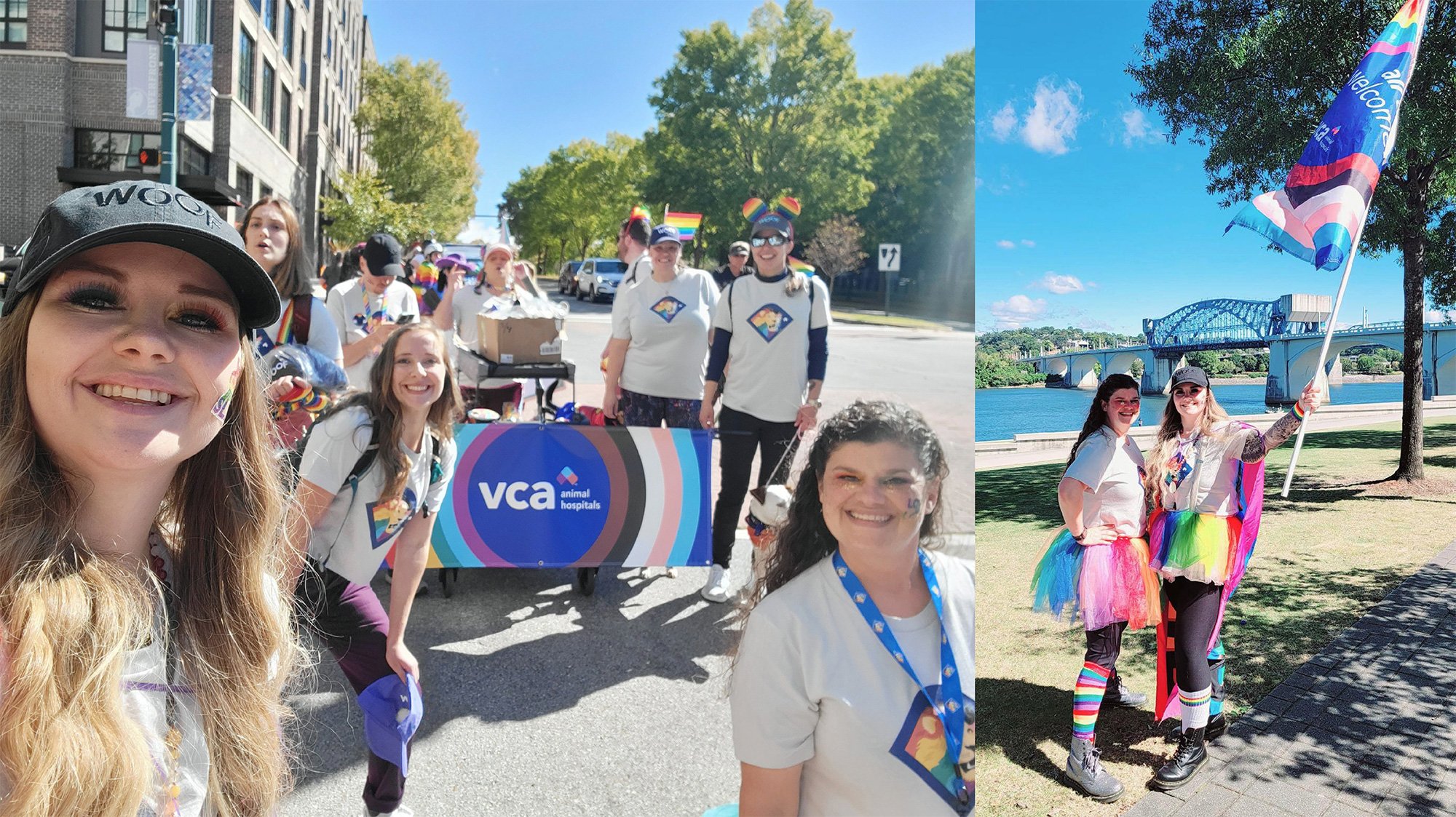 Welcome to the Pride Veterinary Medical Community - San Francisco, CA